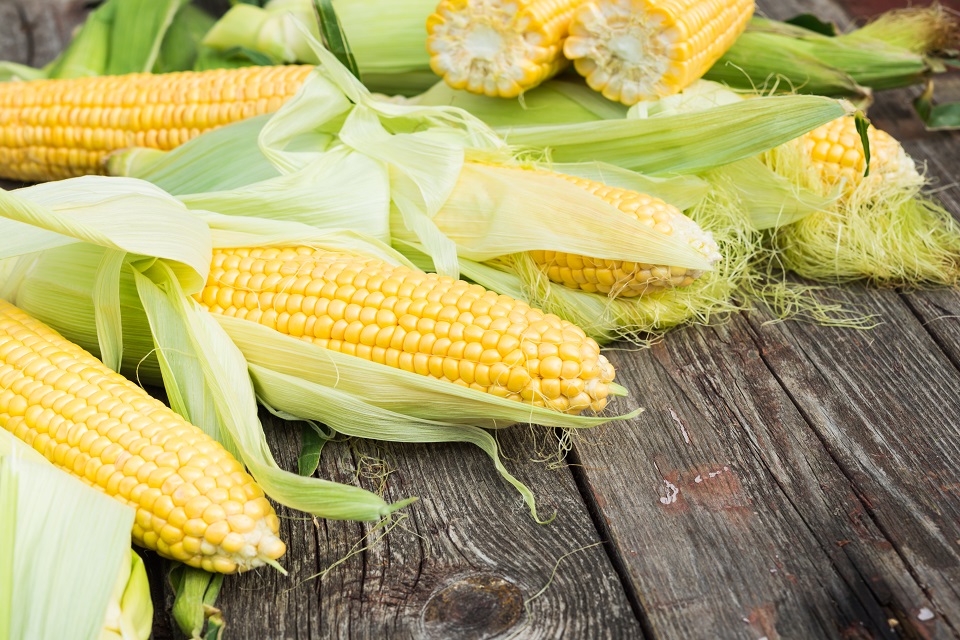 Food Facts Friday: Corn for a Kidney Diet | DaVita