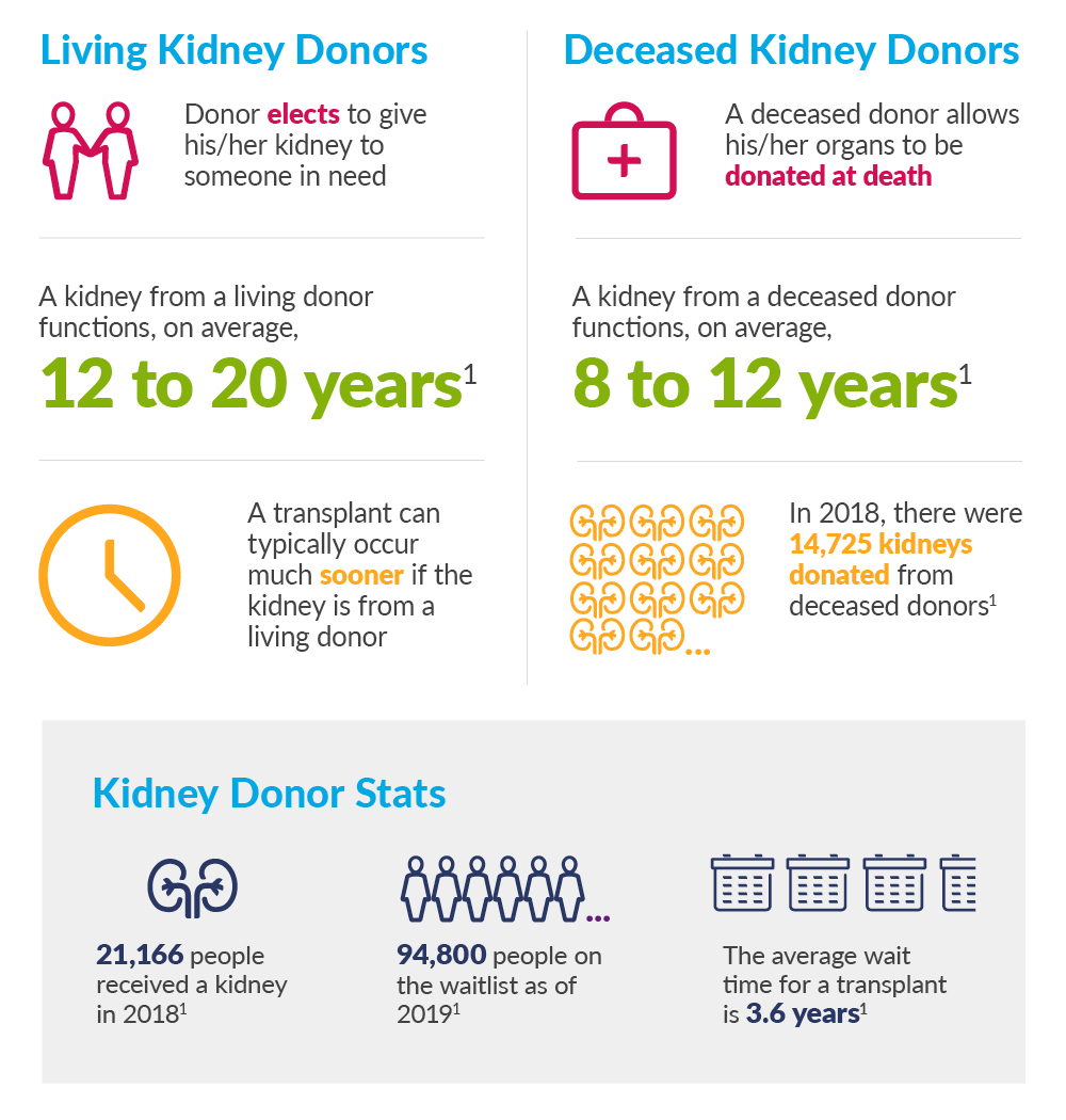 What's the Difference? Living vs. Deceased Kidney Donors | DaVita